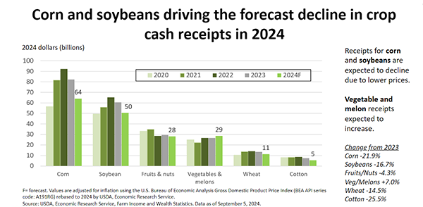 USDA’s Latest Farm Income Data Looks Brighter Than Early 2024 Numbers ...