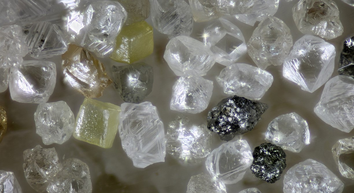 Crop Gangsters: Million-Dollar Farm Ponzi Collapses Under Flood of Fish ...