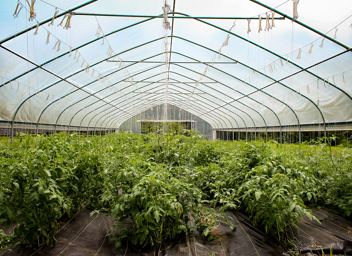 Atlanta-area community features organic farm and a focus on fresh | The ...