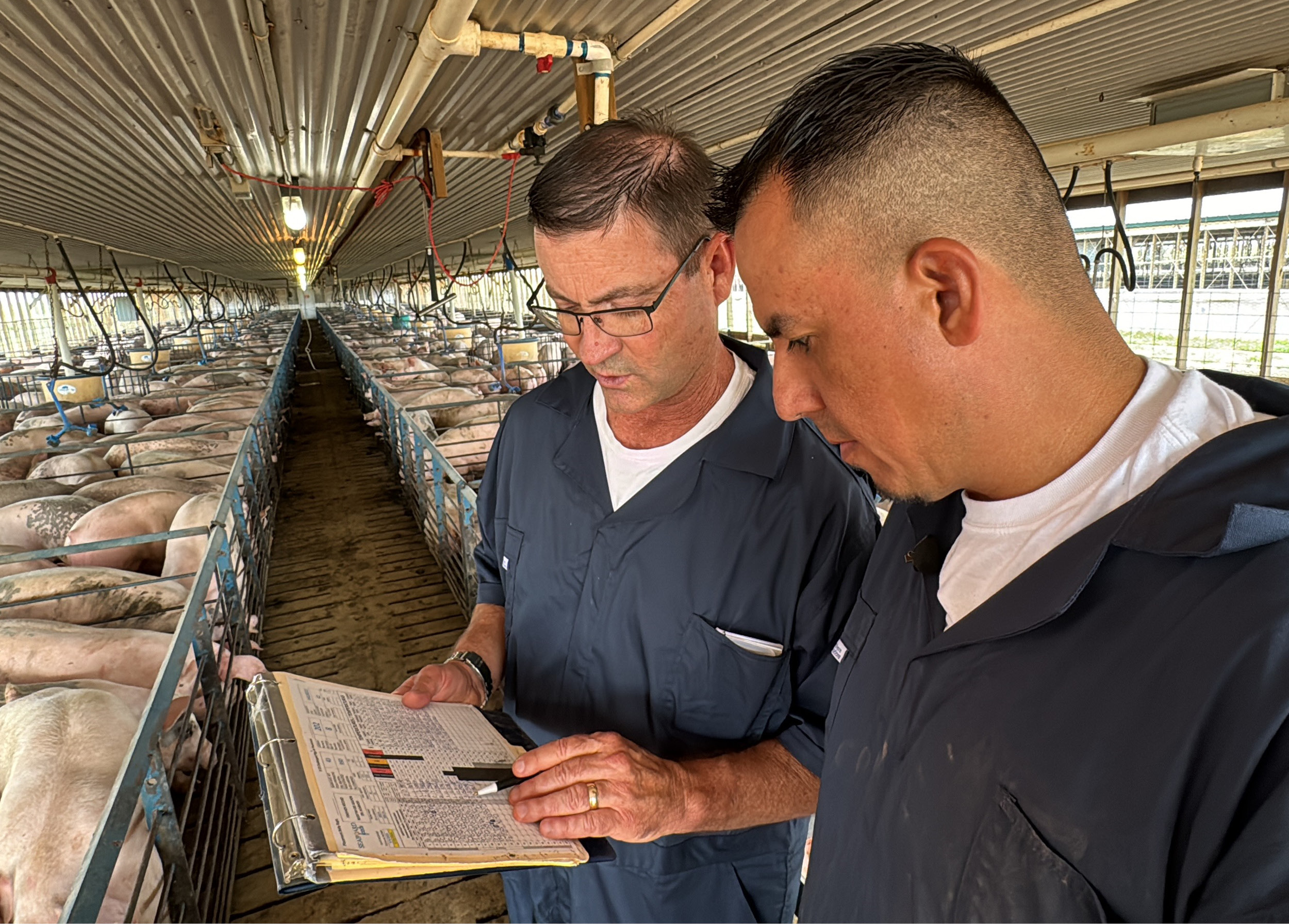 How Barn Hero Ariel Gonzalez Earned Street Cred in the Barn | Pork Business