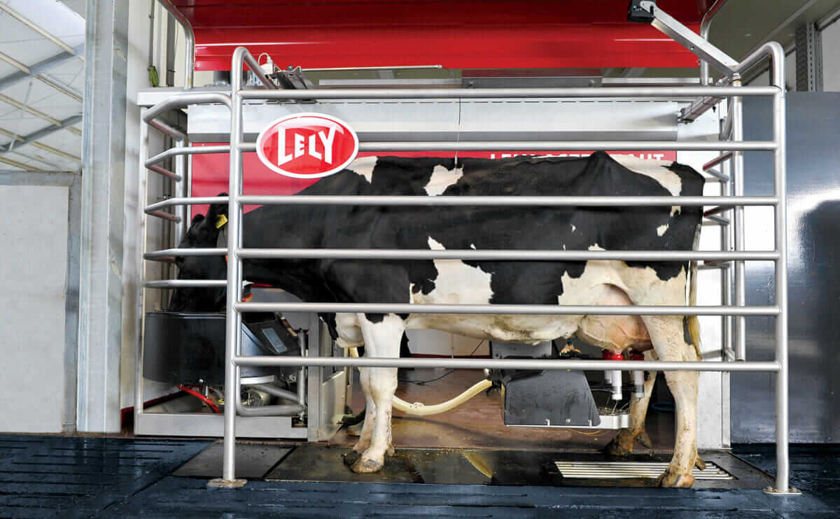 Entering the Golden Age of Dairy Robotic Technology | Dairy Herd