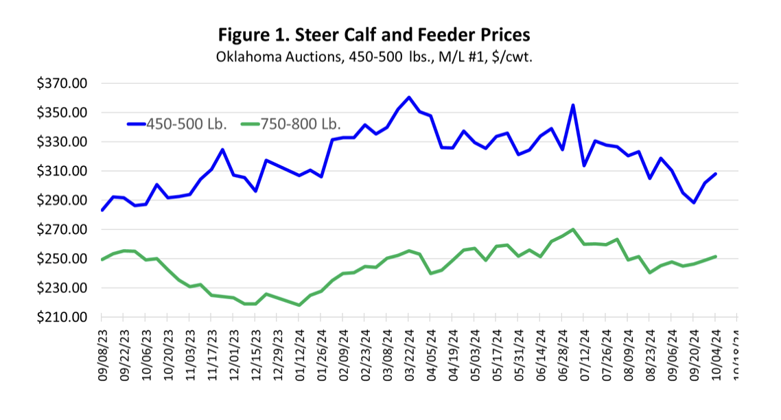 Fall Cattle Market Update for Midwest | Drovers