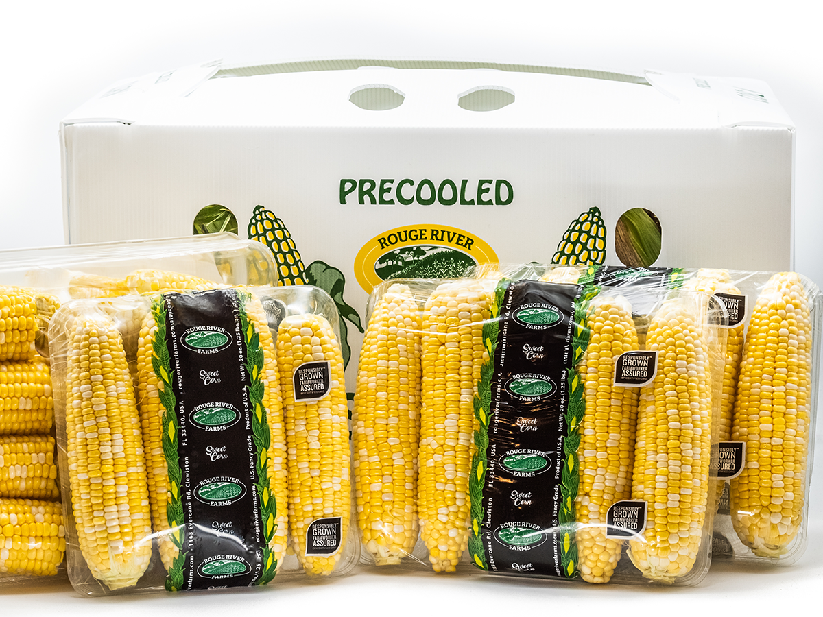 Abundant vegetable crop shaping up for Ontario | The Packer