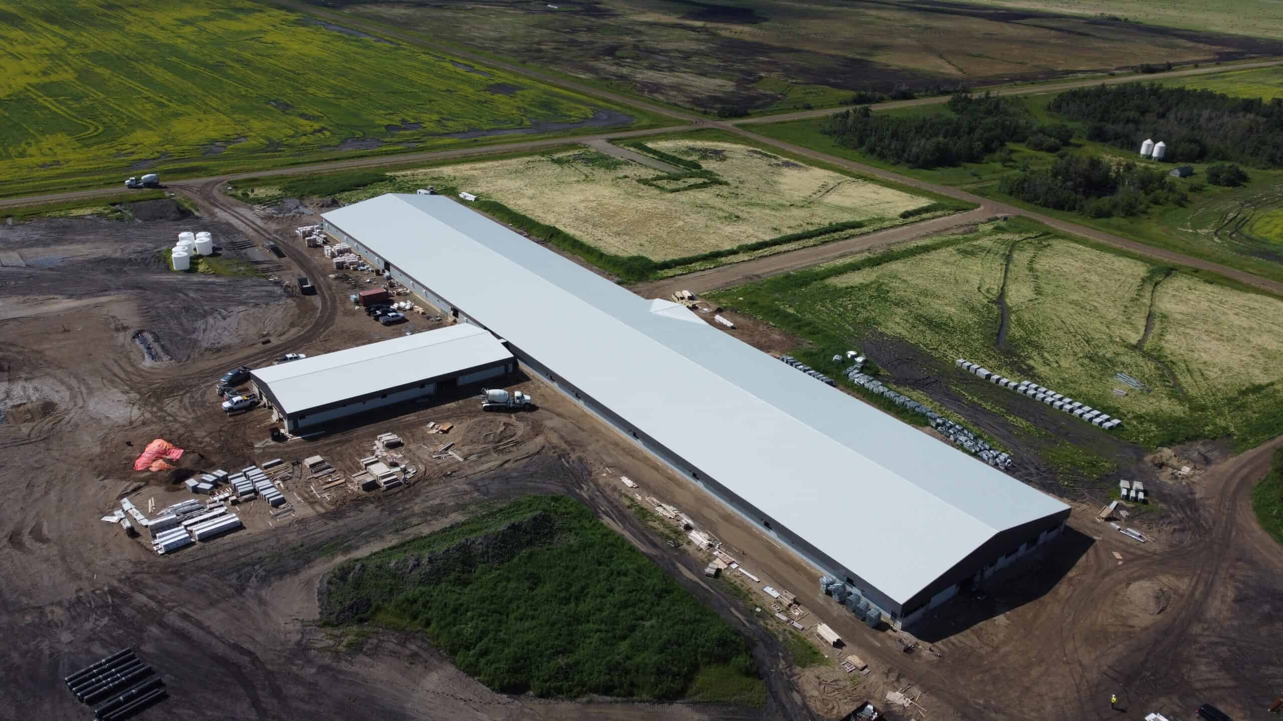 Doubling Genetic Progress Through Global Investments | Pork Business