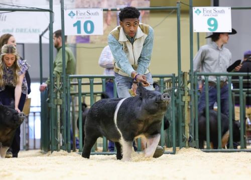 Louisiana Kids Discover a New Path in Life Through Showpigs | Pork Business