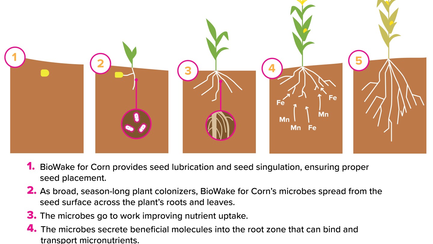 BioWake: Layering Seed Lubrication With A Biological - The Scoop