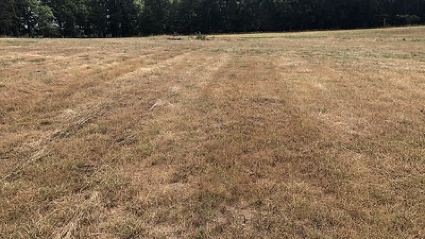 Tips To Manage What’s Left of Drought Pastures - Drovers