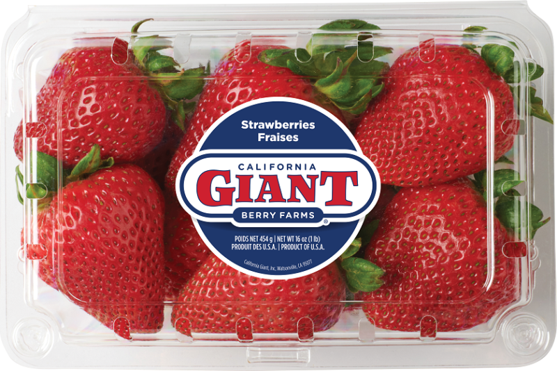 California Giant Berry Farms launches new consumer website, touts new ...
