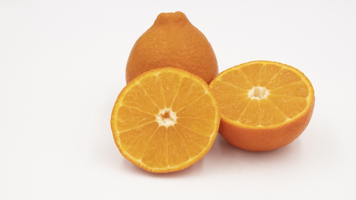 Research looks for variety, rootstock resistance to HLB, citrus canker ...