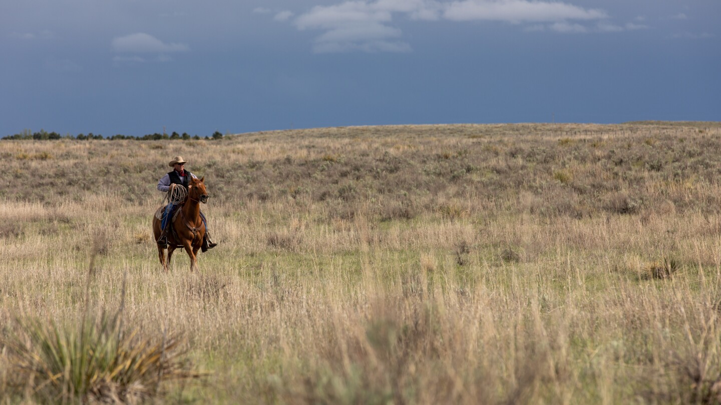 Derrell Peel: Be Careful What You Ask For