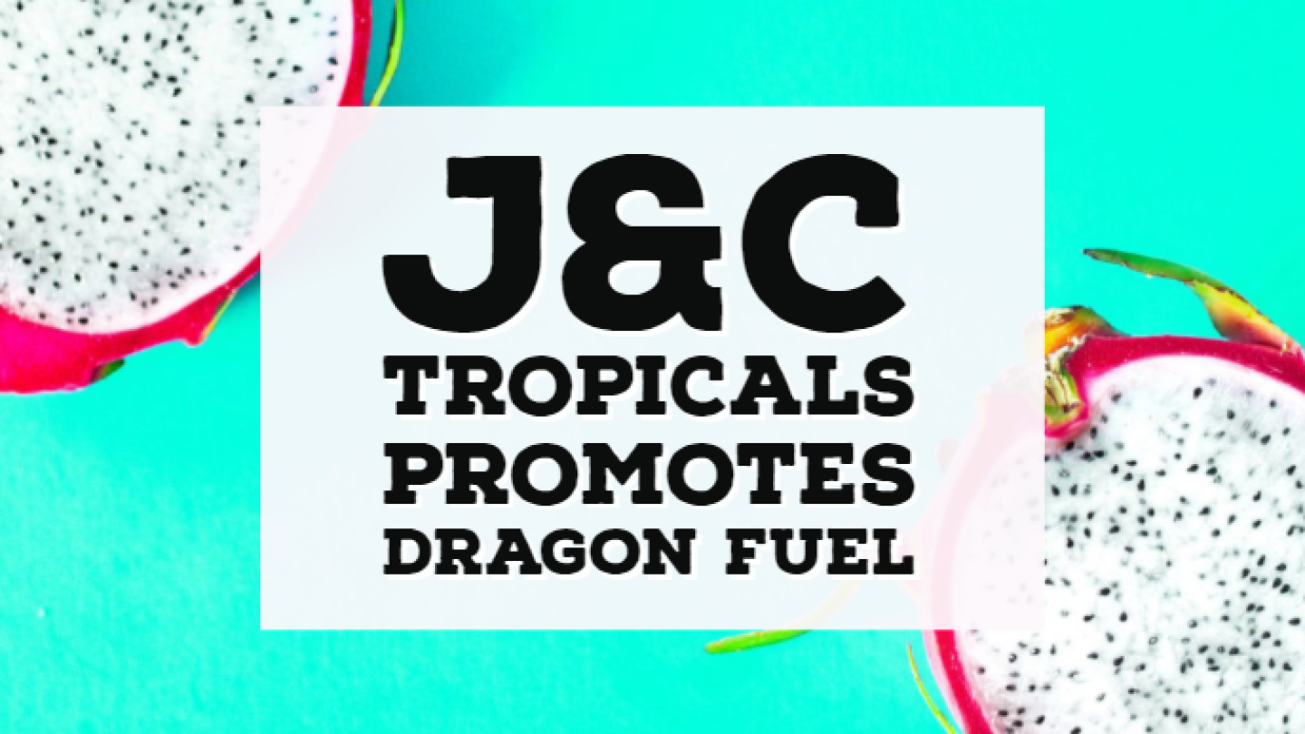 J&C Tropicals promotes Dragon Fuel - The Packer