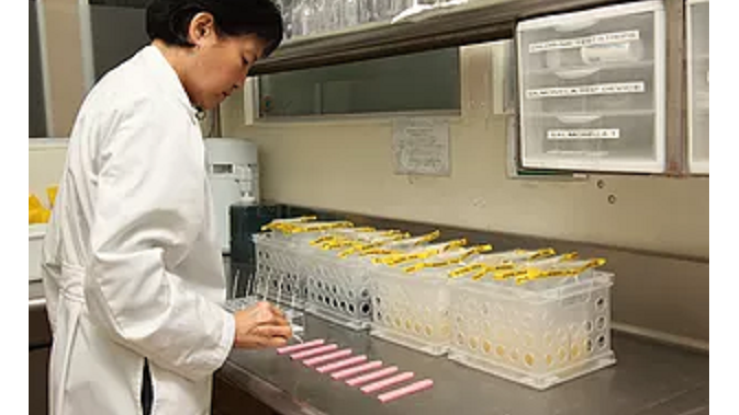 Sprout grower Fullei Fresh completes Primus audit - The Packer