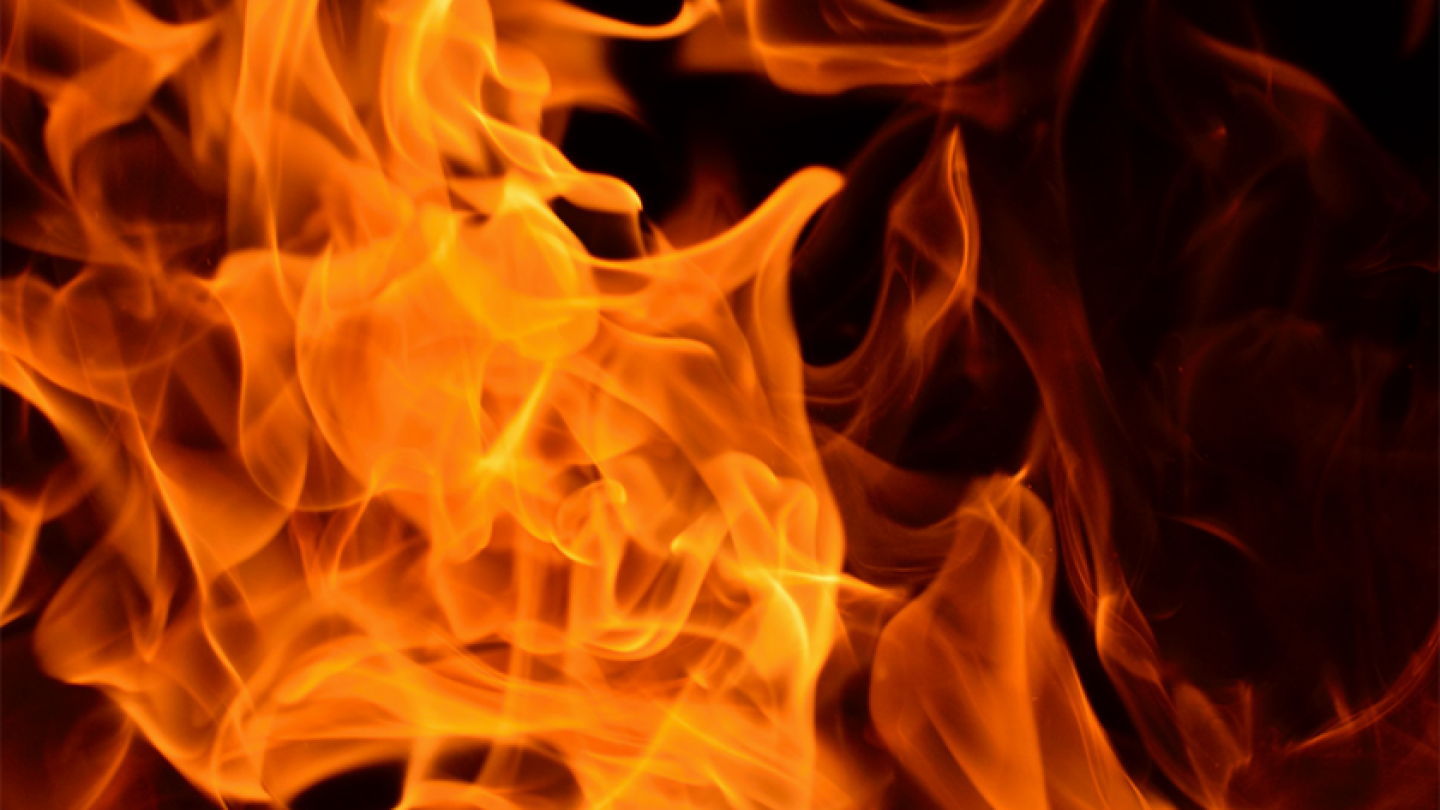 10,000 Pigs Killed in Olymel Barn Fire - Pork Business