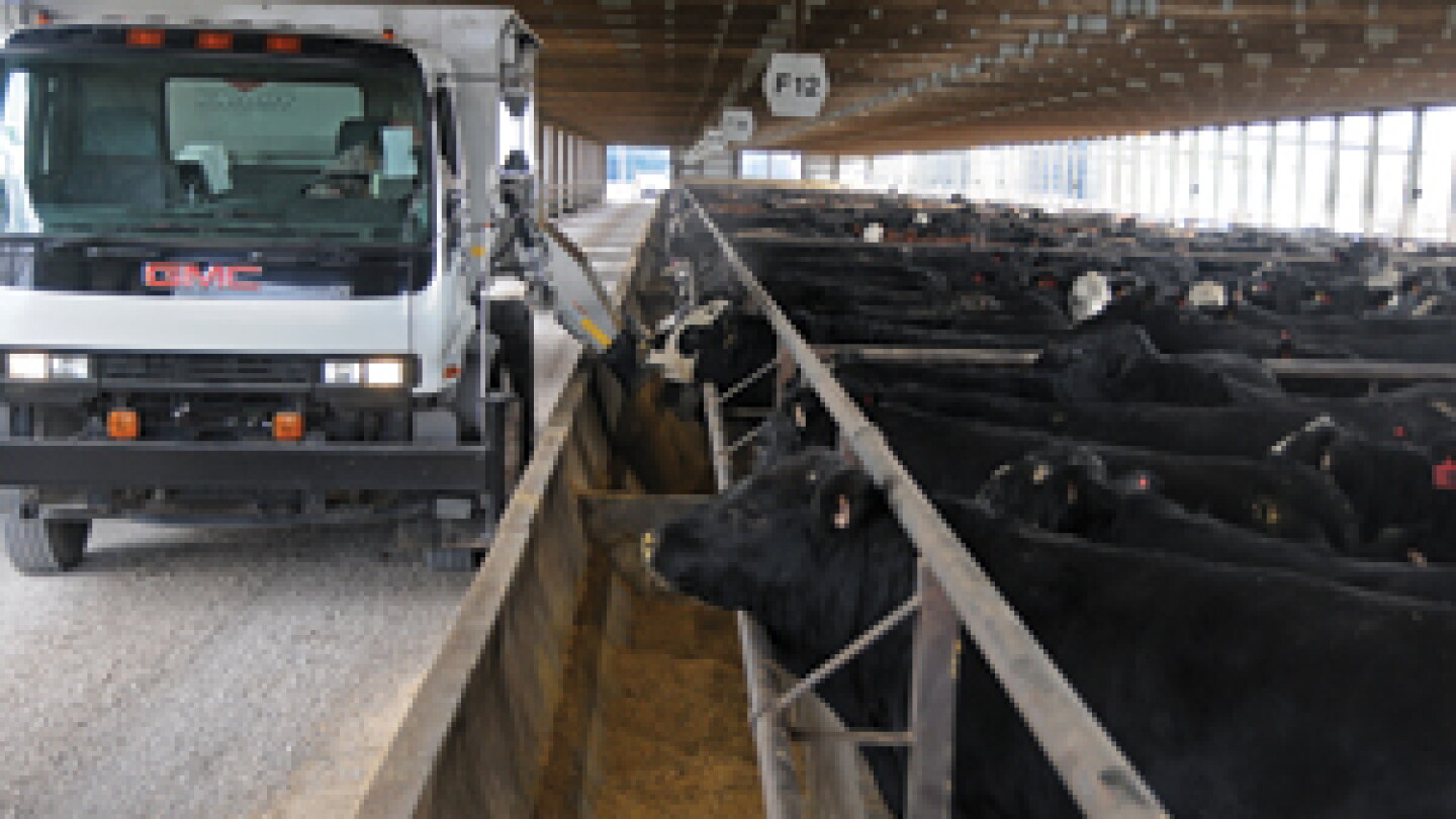 Can Cattle Prices Last? - Drovers