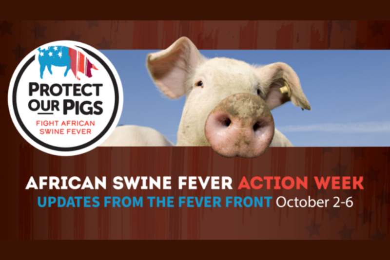 USDA's Third Annual African Swine Fever Action Week Set to Begin Oct. 2