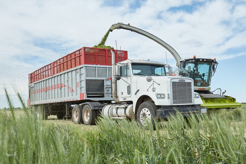 MAGNIVA® Platinum Forage Inoculant: Taking control of silage quality ...