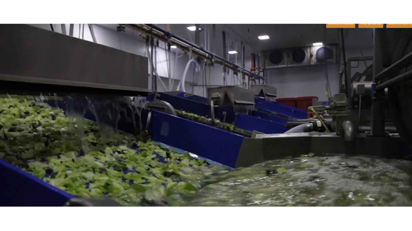 SmartWash Solutions’ Boost reduces E. coli risks on lettuce - The Packer