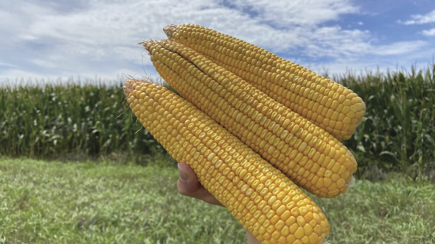 Pro Farmer Crop Tour: A Fact-Finding Mission - AgWeb