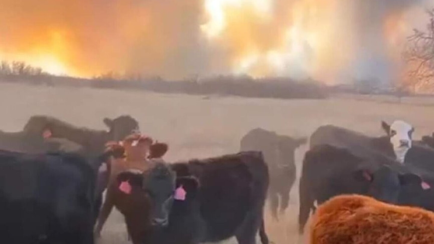 Wildfires Raging in Texas, Oklahoma Panhandle Region Threaten Residents ...