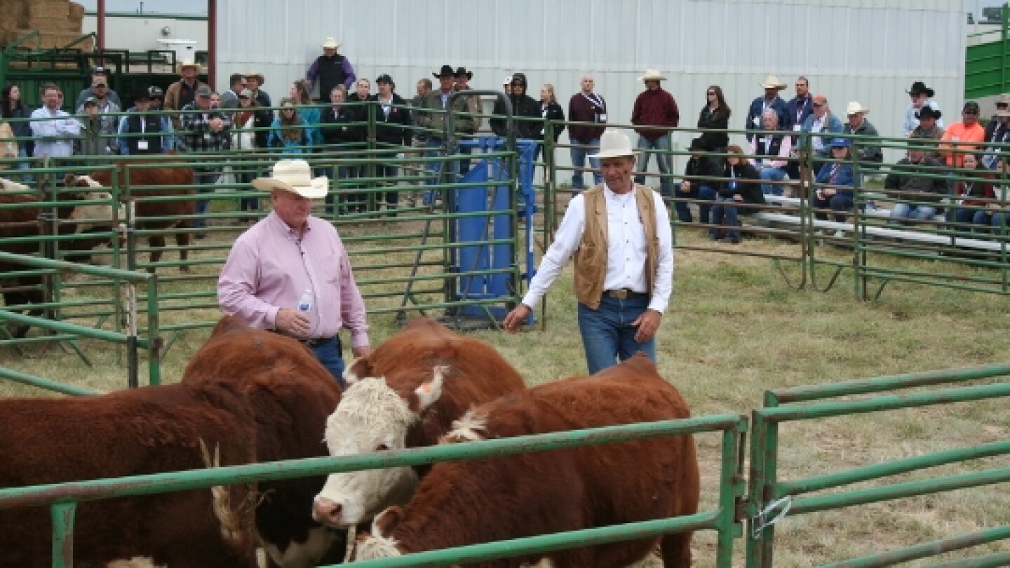 NCBA, Beef Checkoff Plan Stockmanship & Stewardship Sessions - Bovine Vet