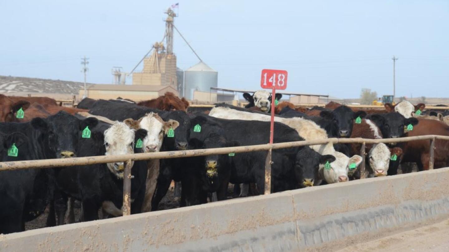 NCBA’s President-Elect Jerry Bohn Discusses 50/14 On AgriTalk