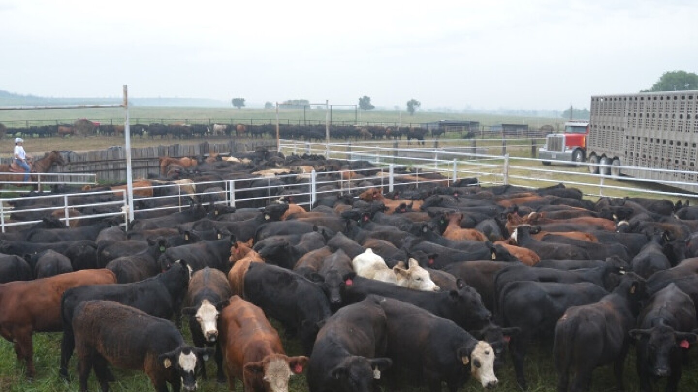 Derrell Peel: Analyzing 2019 U.S. Beef Exports And Imports