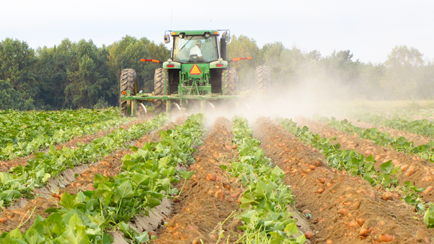 Land of opportunity: Carolina growers thrive with diverse crops and ...