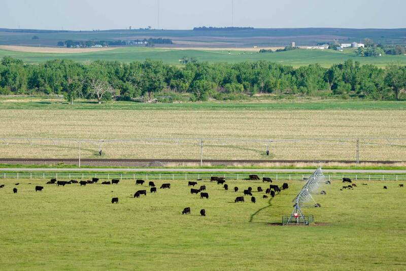 Elanco Adds New Tools to Advance Livestock Sustainability Efforts