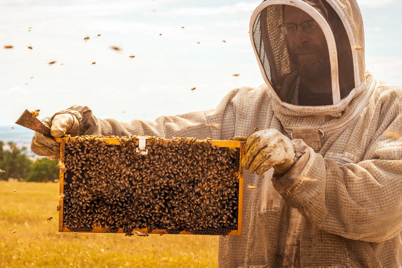 beekeeper heathrow