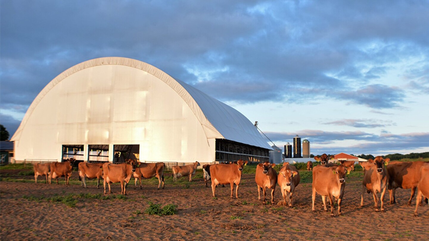 Starting New: How One Farmer Started from Scratch and Dug to Survive ...