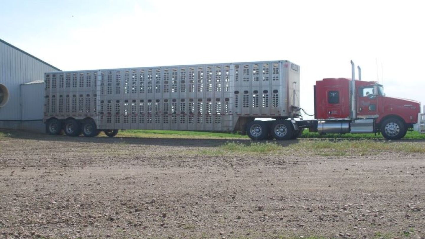 Tyson Foods Aims to Resume Slaughtering Pigs in Mid May at Nebraska ...