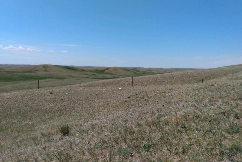 ND Drought Creates Forage Shortage - Drovers