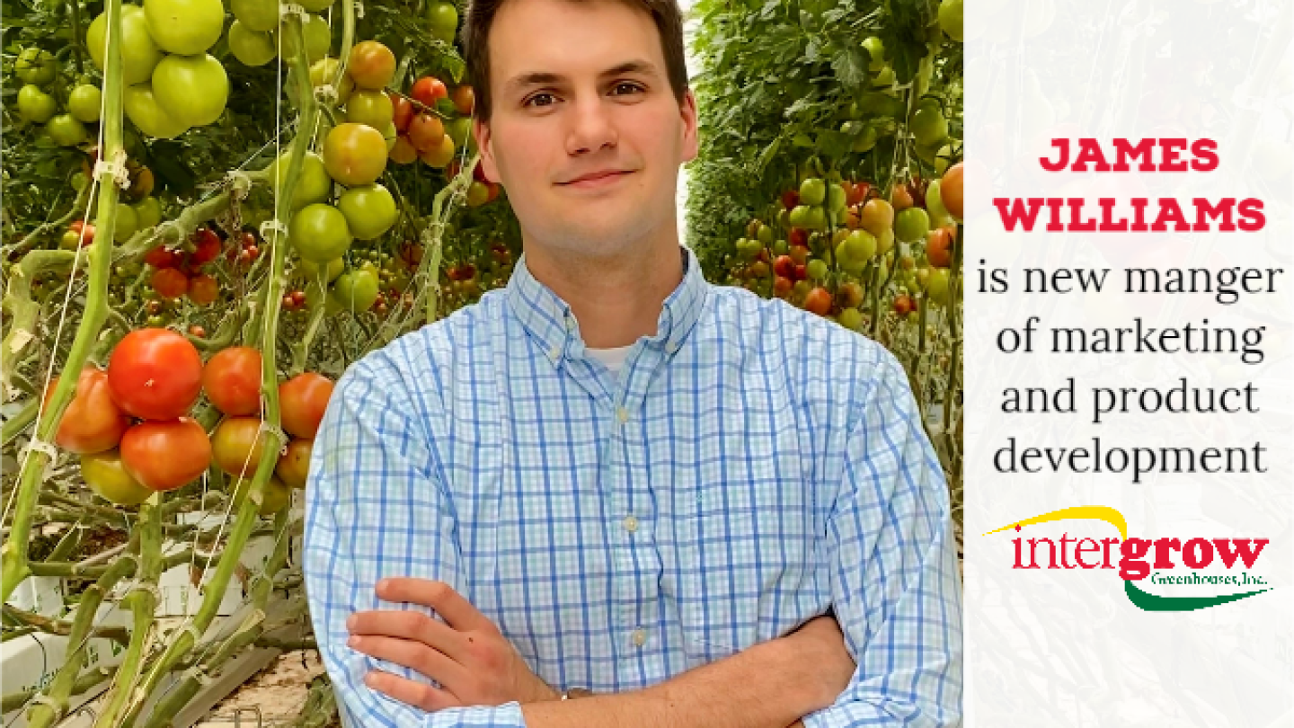 Intergrow hires James Williams in marketing, product development - The ...