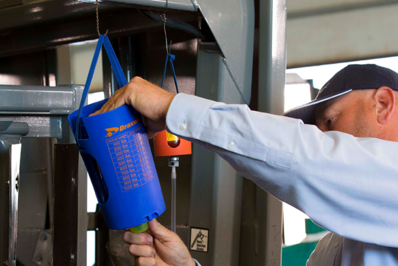 Lessons Learned Growing Up on a Stocker and Feedlot Operation