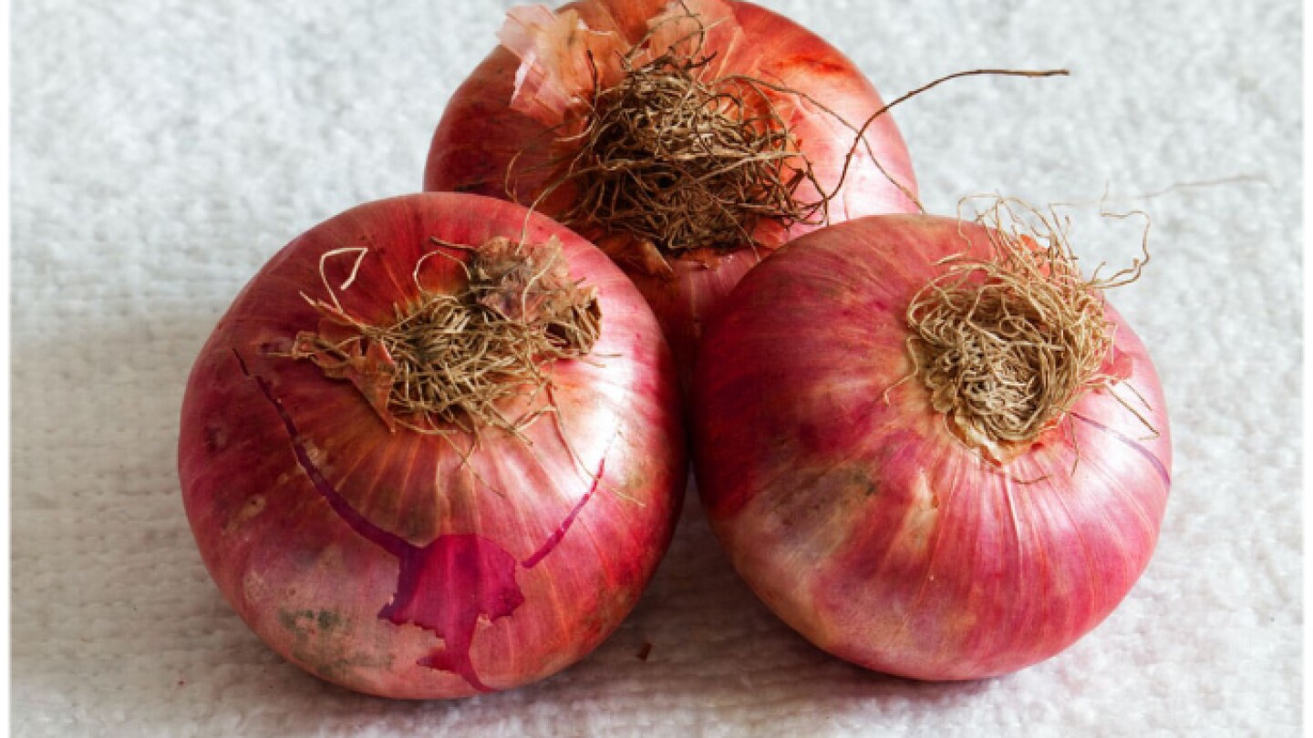 Onions Etc. installing robotic stacker - The Packer