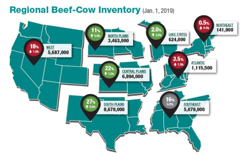 Cattle Inventory Up 0.5%, Beef Cows Up 1% - Dairy Herd