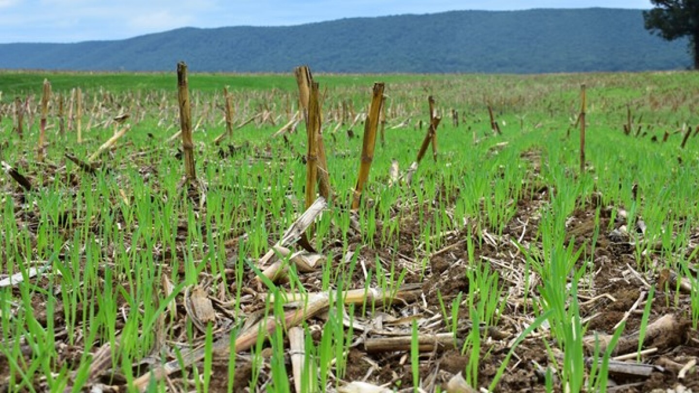 Millborn Seeds Acquires State Line Seed Company - The Scoop