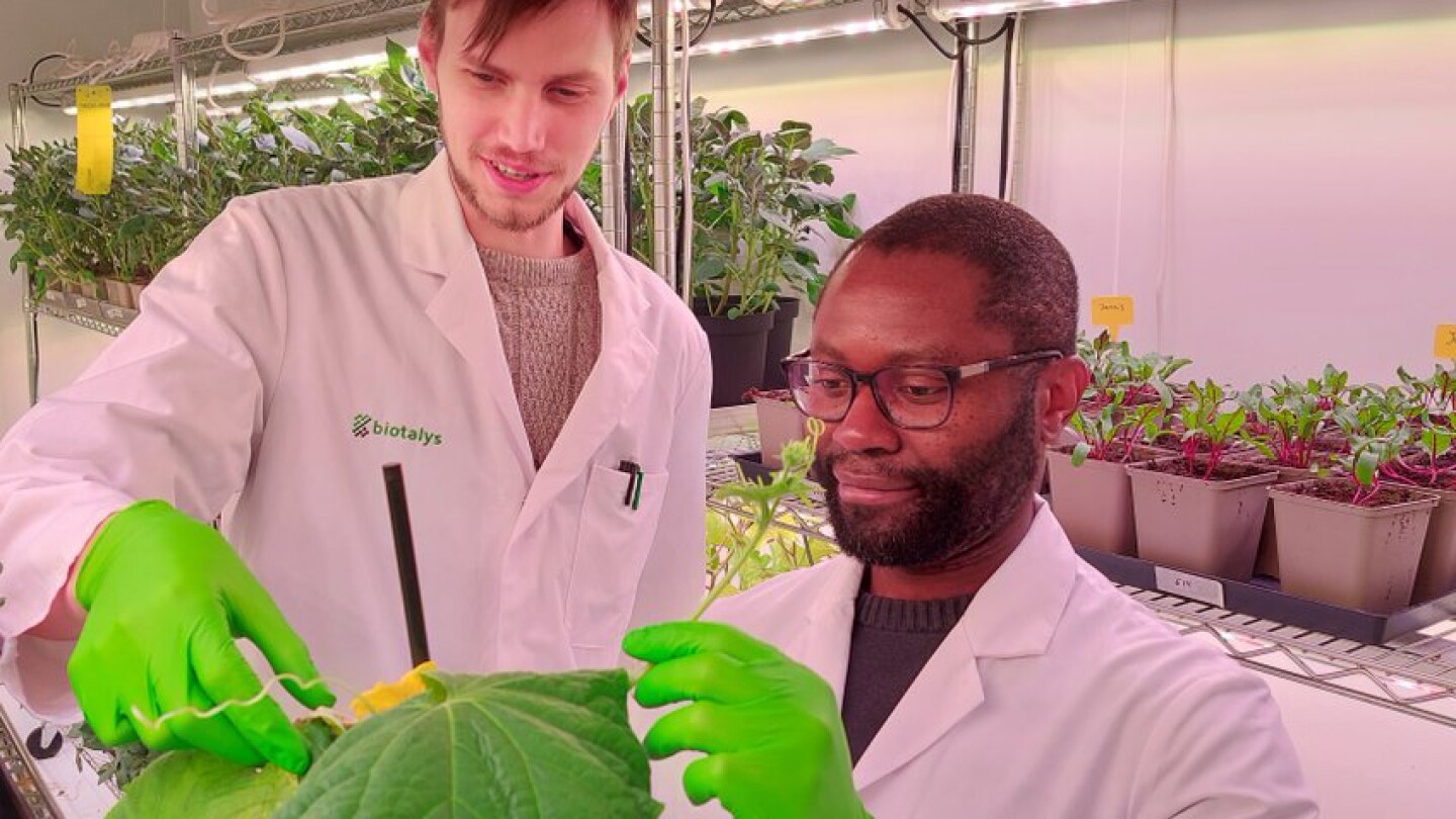 Syngenta and Biotalys partner to advance solutions for sustainable ag ...