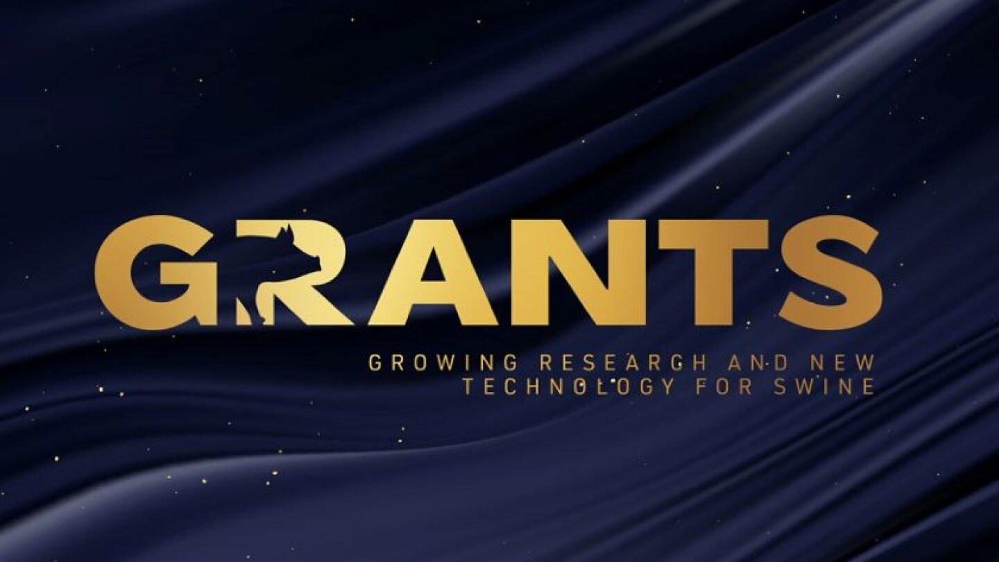 2024 GRANTS Program Opens Call for Proposals for Swine Health Research ...