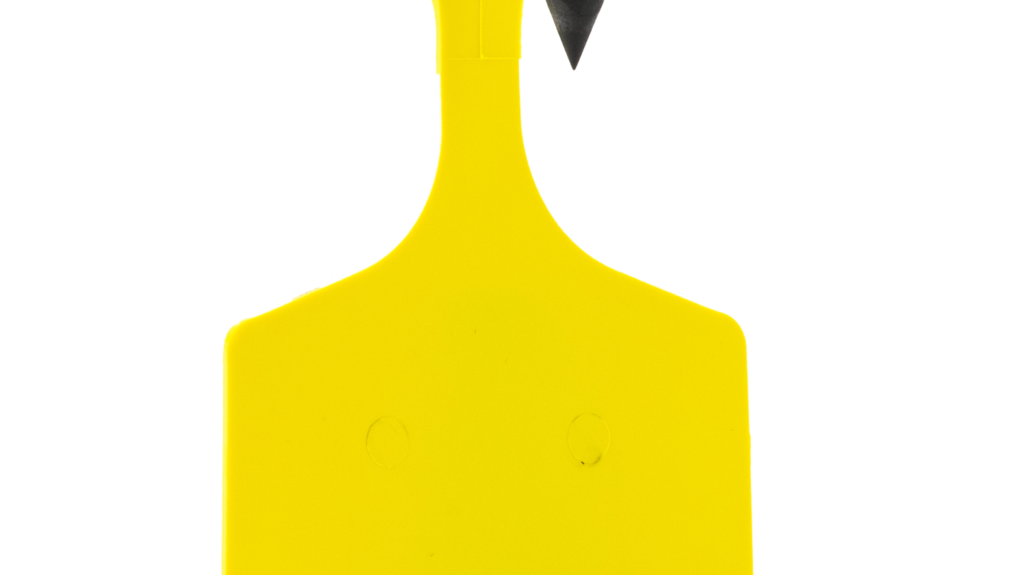 Merck Introduces the ALLFLEX® A-Tag™ Feedlot V2 Tag and Applicator ...