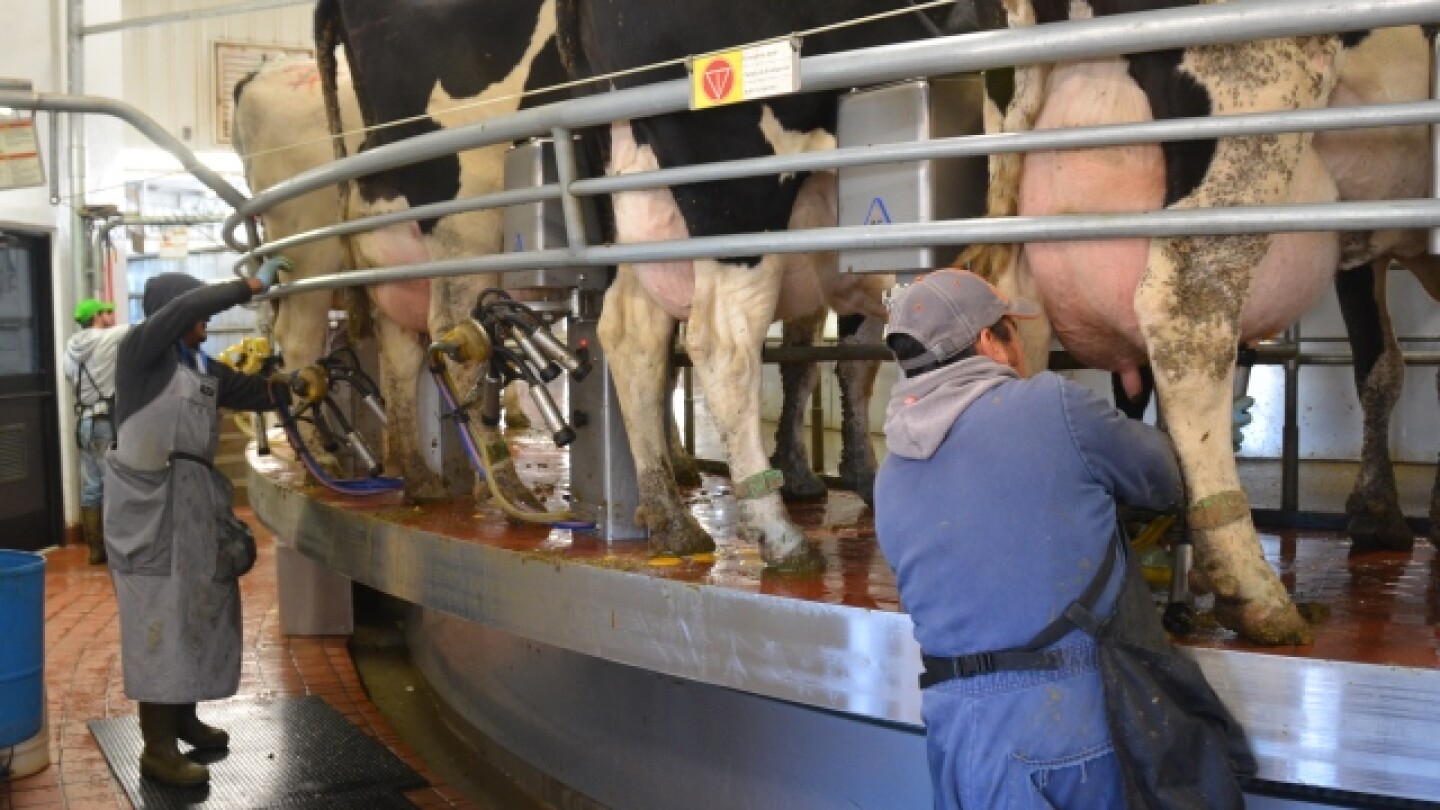 Reasons Behind Surprising Milk Production Report