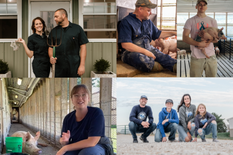 Lead the Conversation: 5 Tips for Sharing Your Pig Farming Story