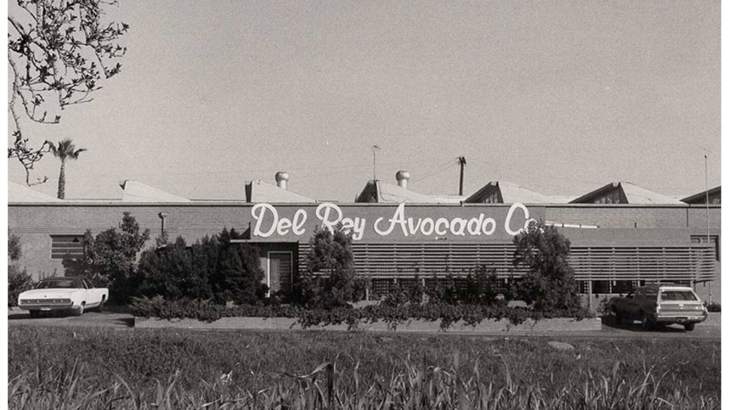 Del Rey Avocado transfers leadership to the next generation - The Packer