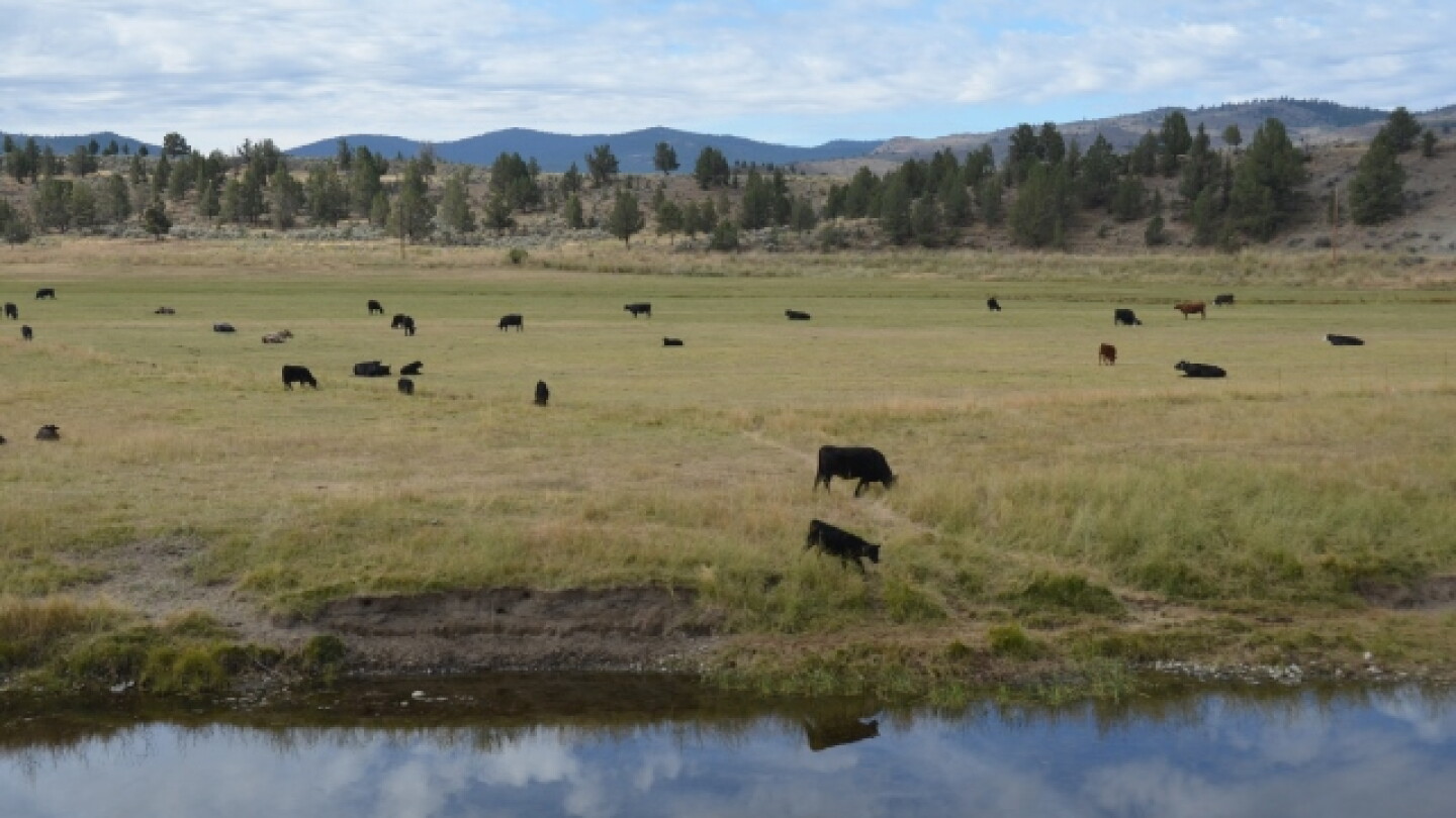 East Oregon Ranch Looks to Save 1 Billion Gallons of Water - The Packer