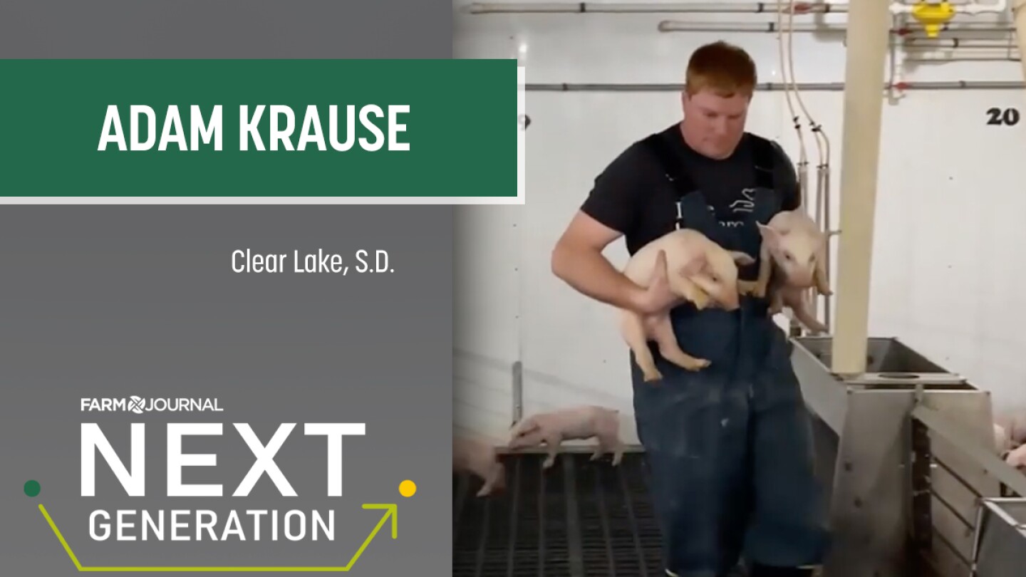 A Hog Barn and Sweat Equity Helped This South Dakota Farmer Get His ...