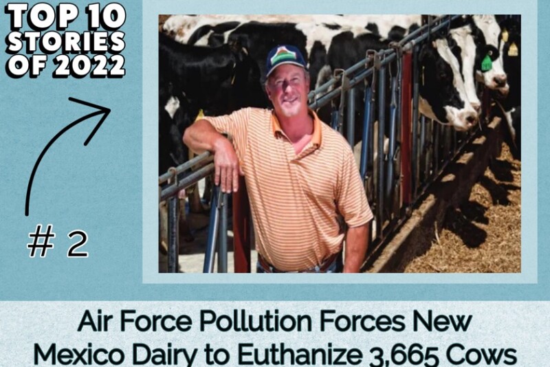 Top 10 Stories of 2022: Air Force Pollution Forces New Mexico Dairy to ...