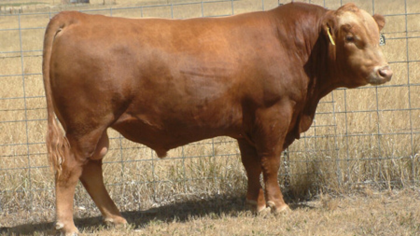 Across-Breed EPD Adjustment Factors - Drovers