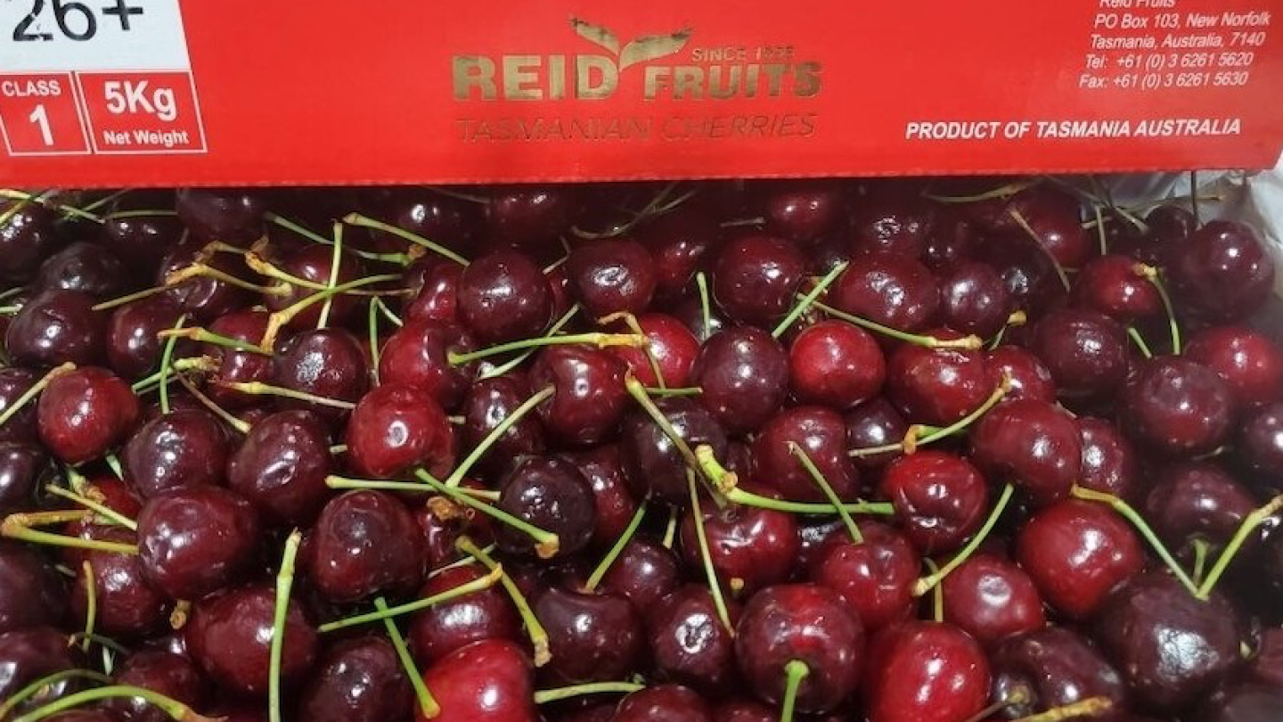 United Apple Sales expands reach for winter’s imported cherries - The ...