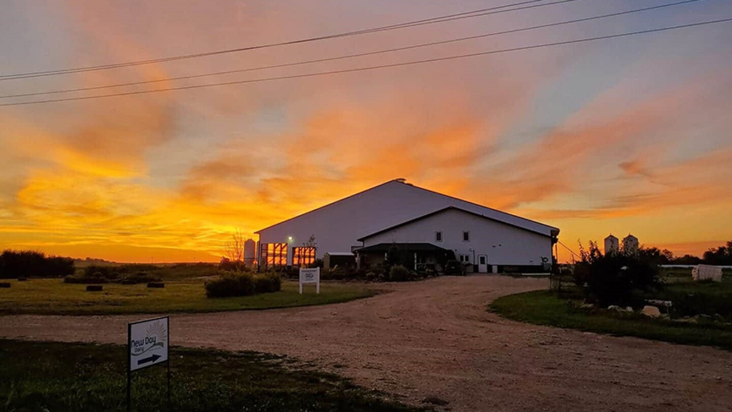 Sleeping With the Cows: A Unique Bed and Breakfast Experience - Dairy Herd