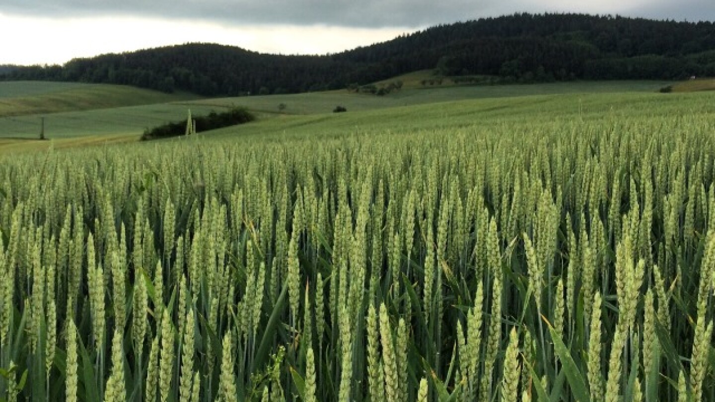 A Look at European Crop Production - AgWeb